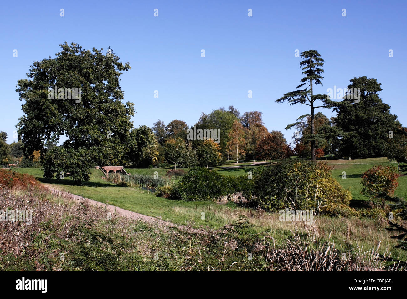 MARKS HALL GARDEN AND ARBORETUM. COGGESHALL ESSEX UK Stock Photo - Alamy