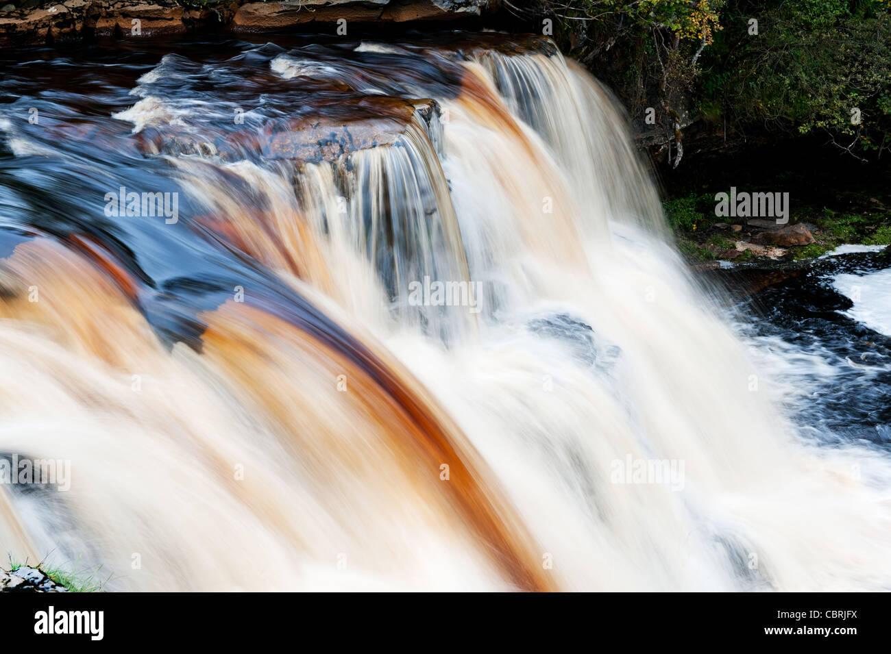 Folls hi-res stock photography and images - Alamy