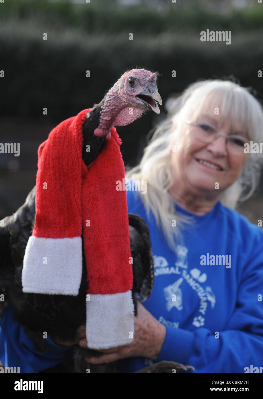 Miranda long hi-res stock photography and images - Alamy