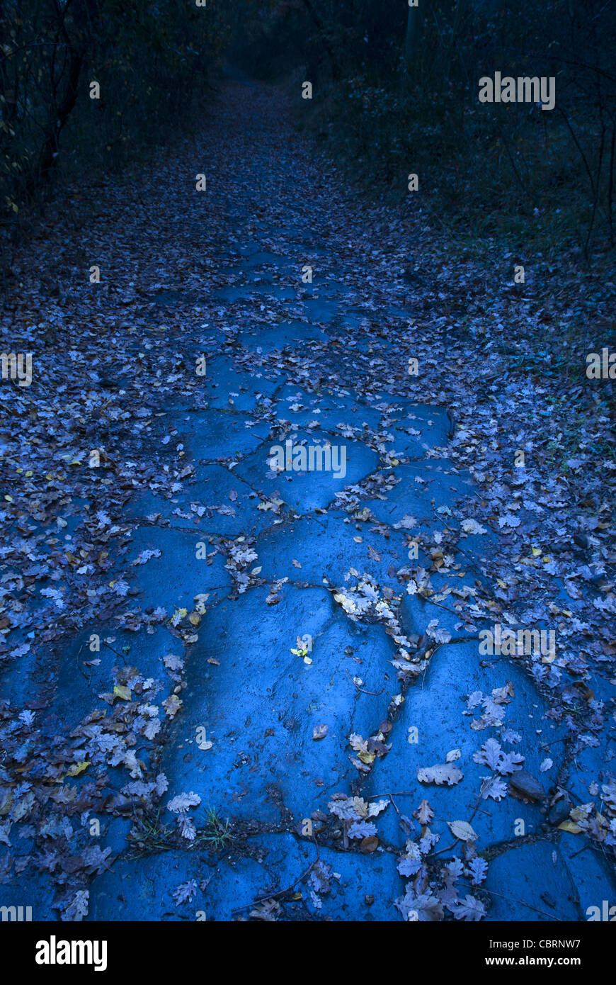 Ancient roman street (Via Cassia) in Italy Stock Photo - Alamy