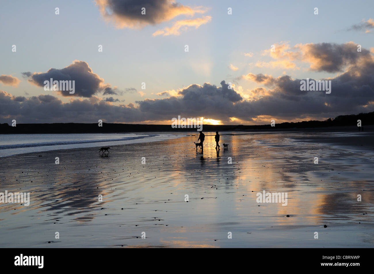 Walkers and dogs on Tenby South Beach at winter sunset Pembrokeshire ...