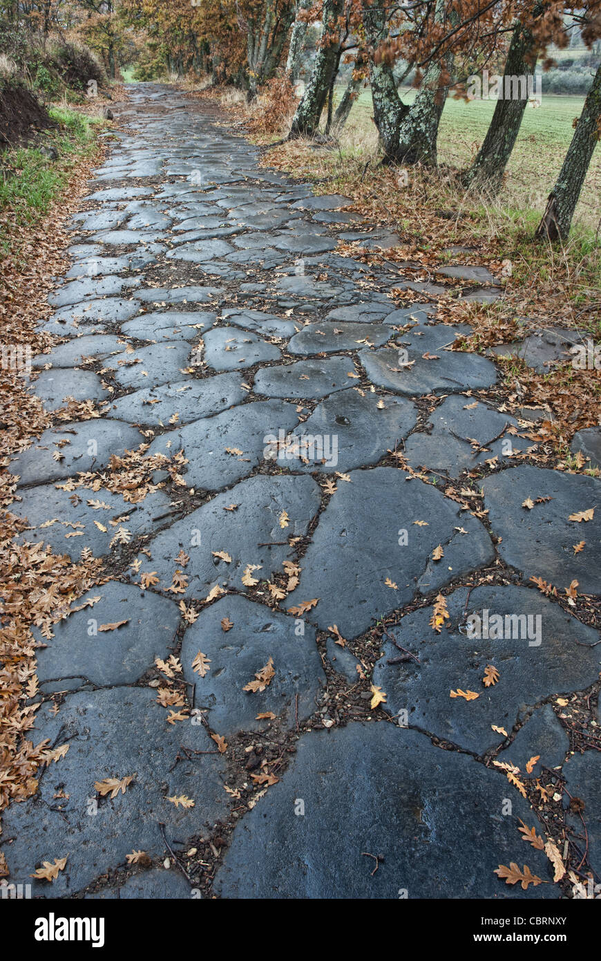 Ancient roman street (Via Cassia) in Italy Stock Photo - Alamy