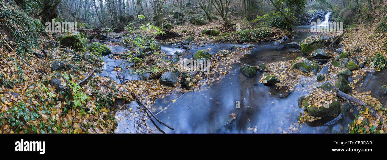 Woody ravine hi-res stock photography and images - Alamy