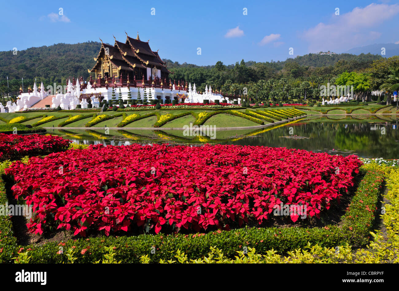 Royal flora ratchaphruek horticultural exhibition hi-res stock ...