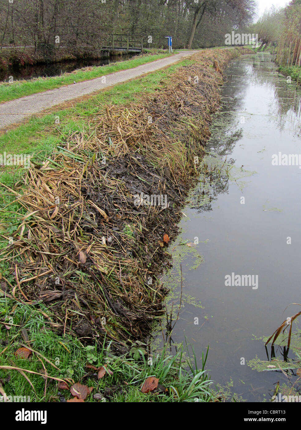 Just cleaned ditch with dredged water plants on the bank, Alblasserdam ...