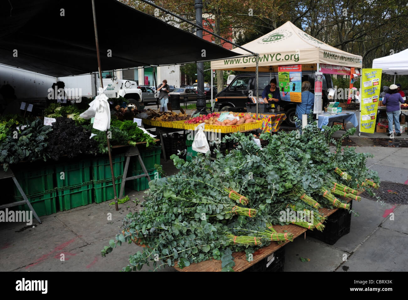 Bundles green vegetables (bean shoots, kale, sweet potatoes) on ...