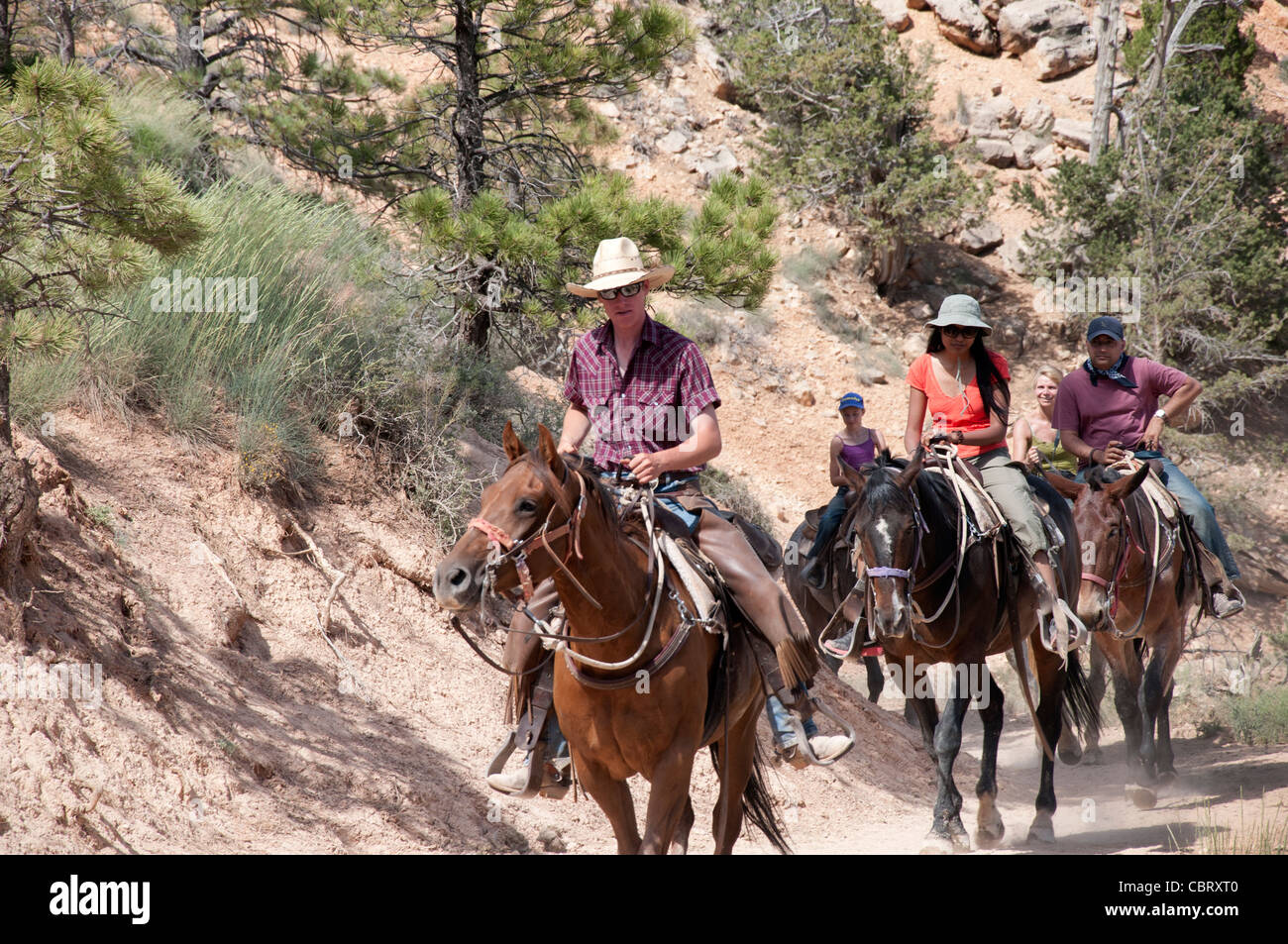 Horse Riding in Bryce Canyon National Park, Utah, USA Stock Photo - Alamy
