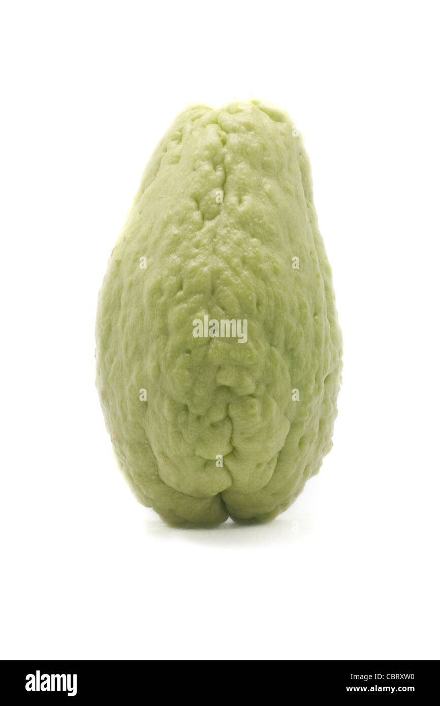 Pimpinela hi-res stock photography and images - Alamy