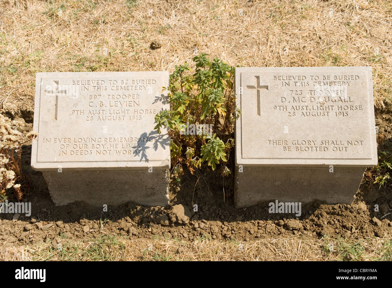 Australian Light Horse graves in Hill 60 Commonwealth War Graves ...