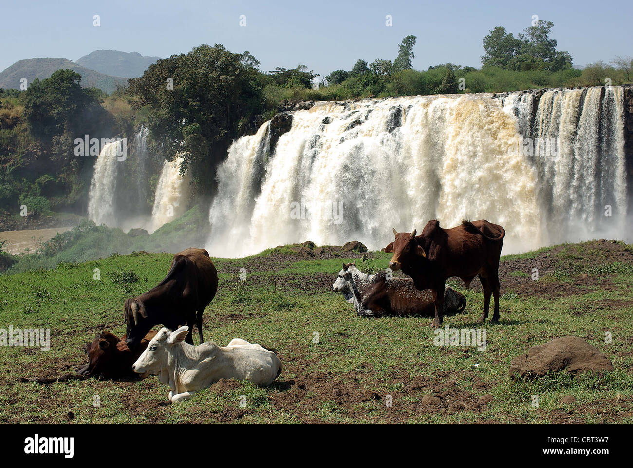 Waterfalls in Ethiopia Stock Photo - Alamy