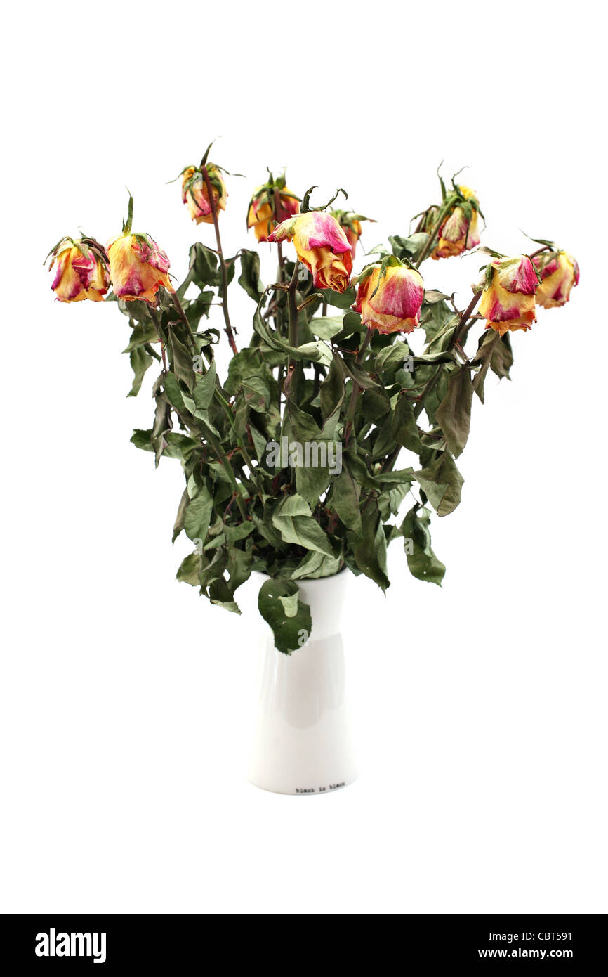 Wilted flowers hi-res stock photography and images - Alamy