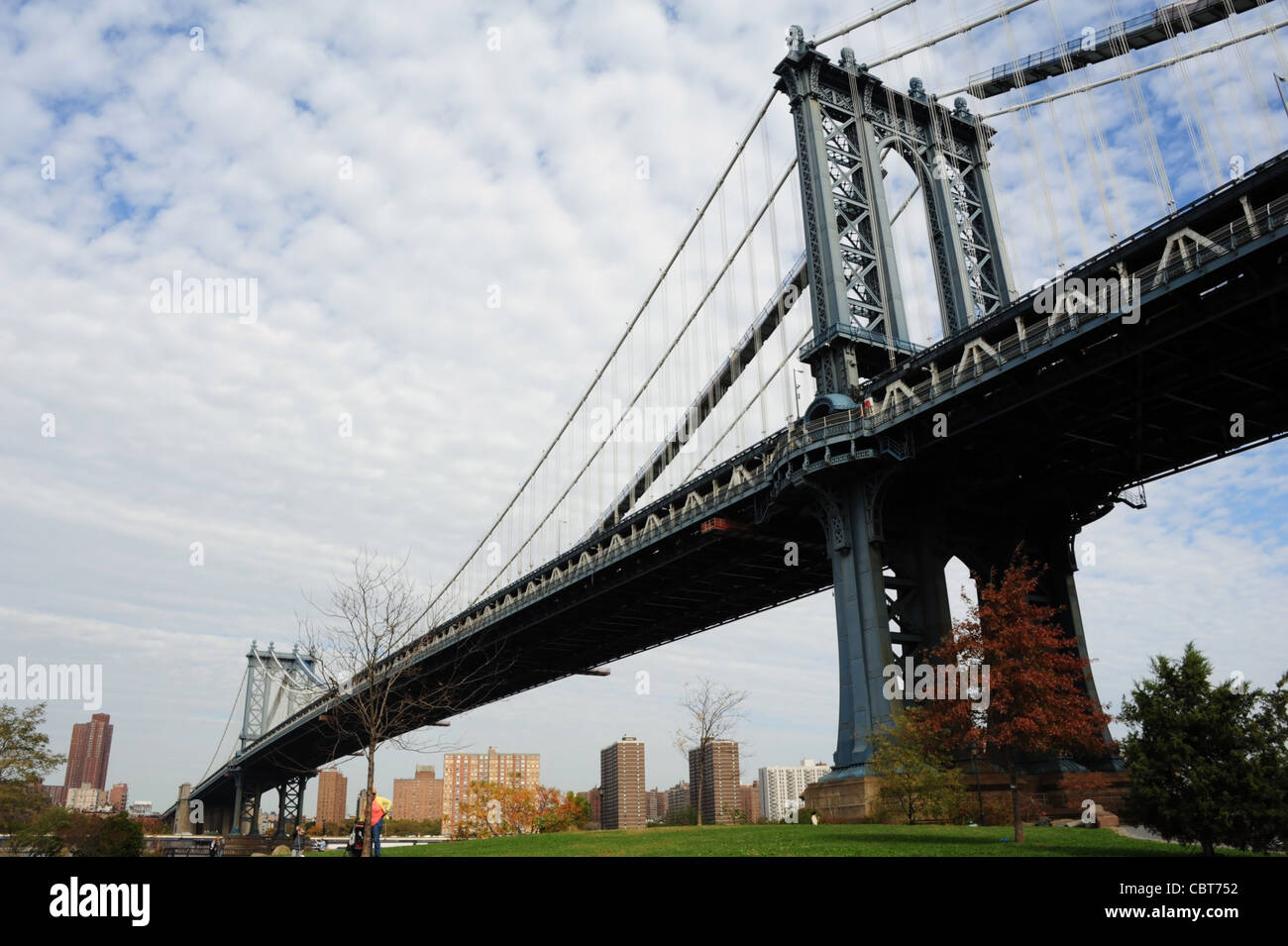 Autumn trees view, towards white altocumulus clouds sky, Manhattan ...
