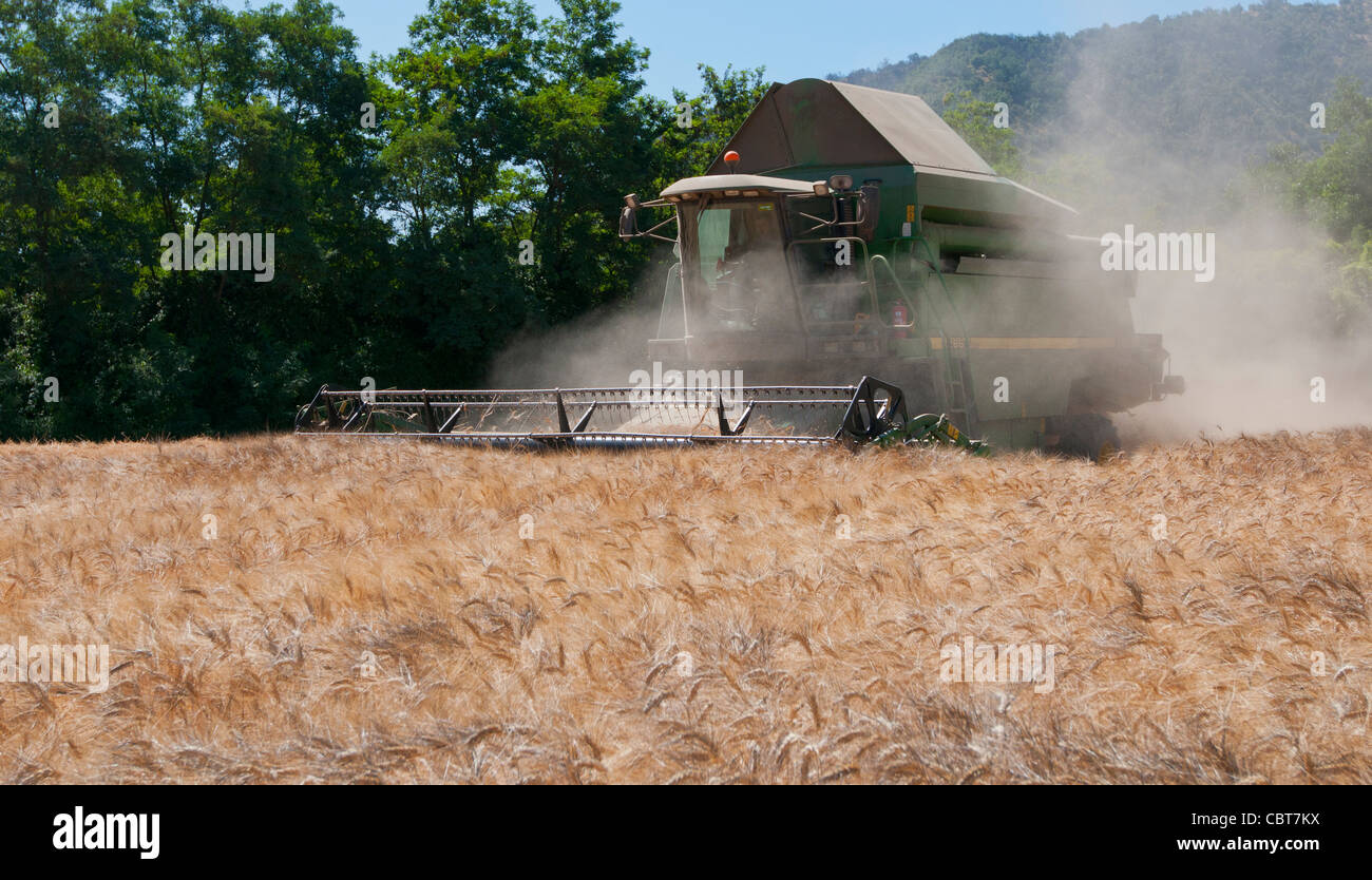 wheat harvesting machine in full work Stock Photo - Alamy