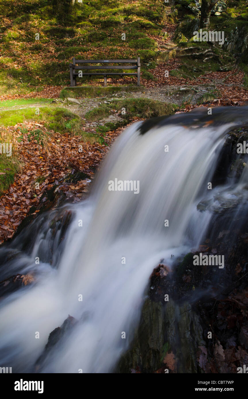 Welsh Mountain Stream Stock Photo - Alamy