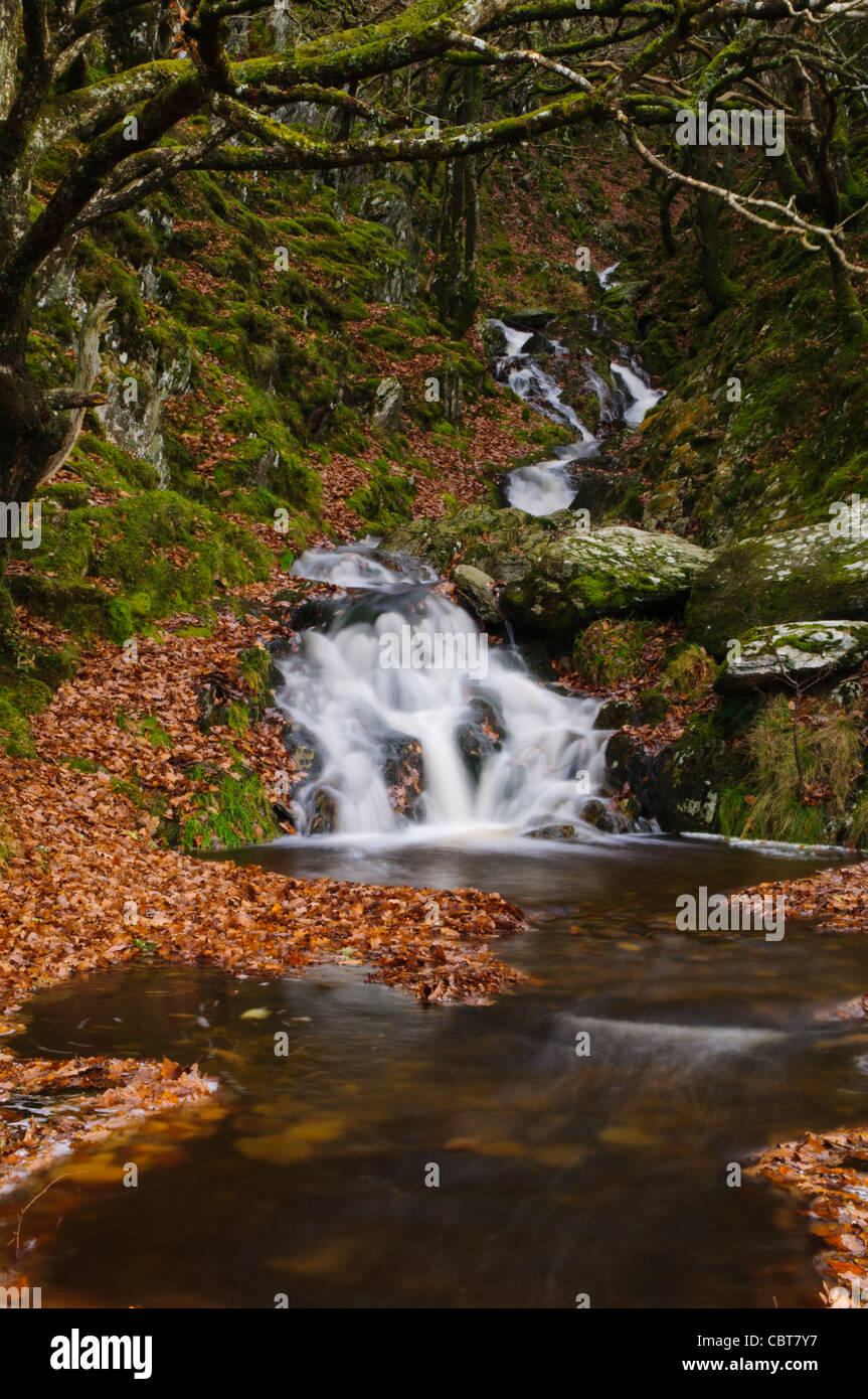 Welsh mountain hi-res stock photography and images - Alamy
