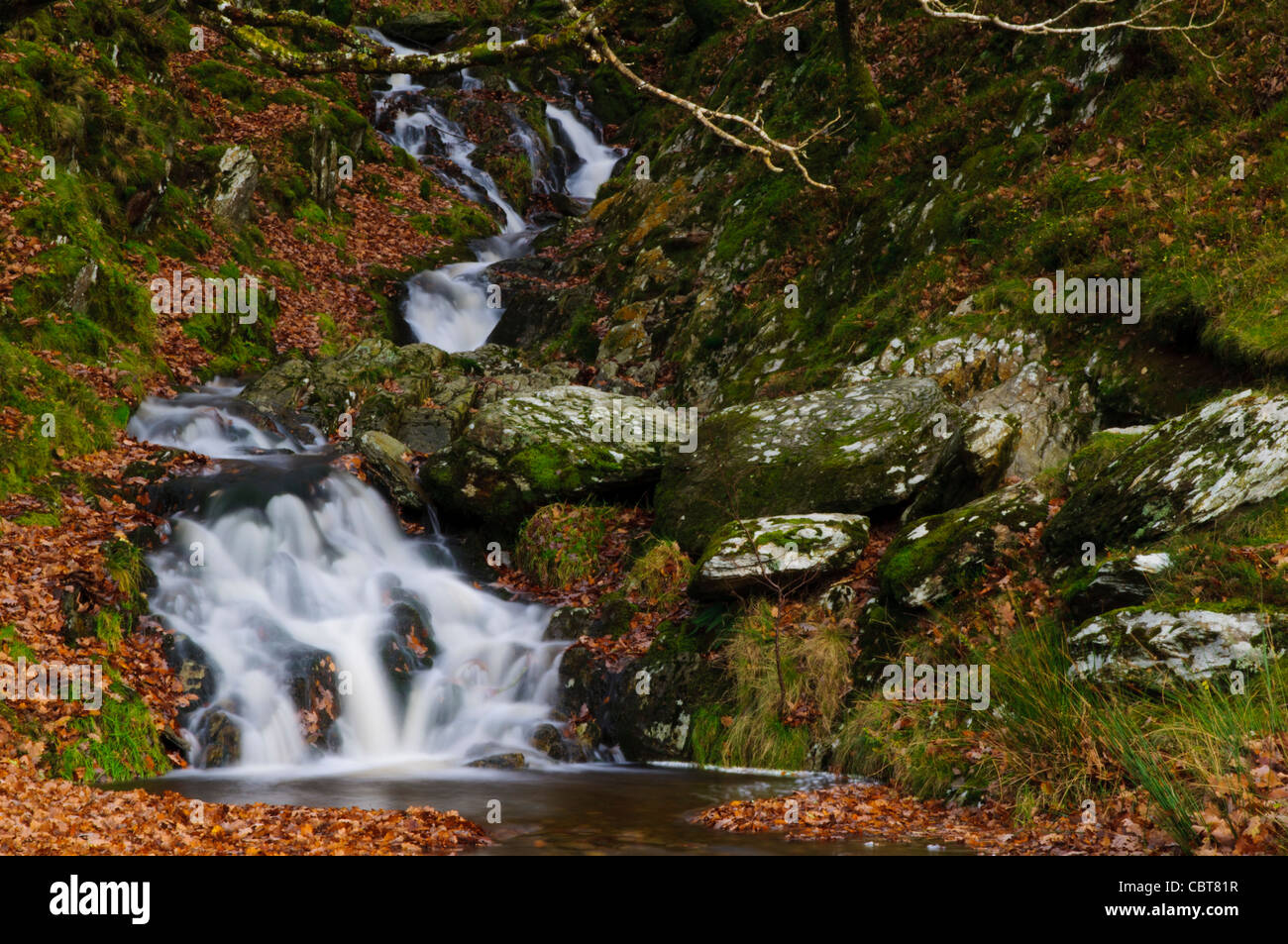 Welsh Mountain Stream Stock Photo - Alamy