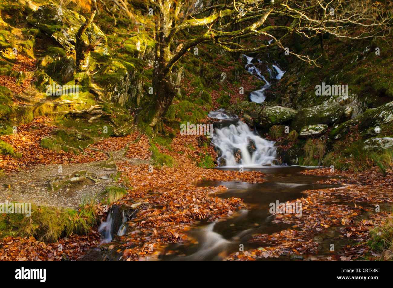 Welsh Mountain Stream Stock Photo - Alamy