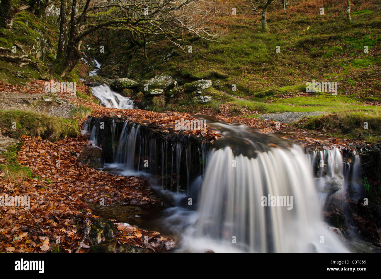 Welsh Mountain Stream Stock Photo - Alamy