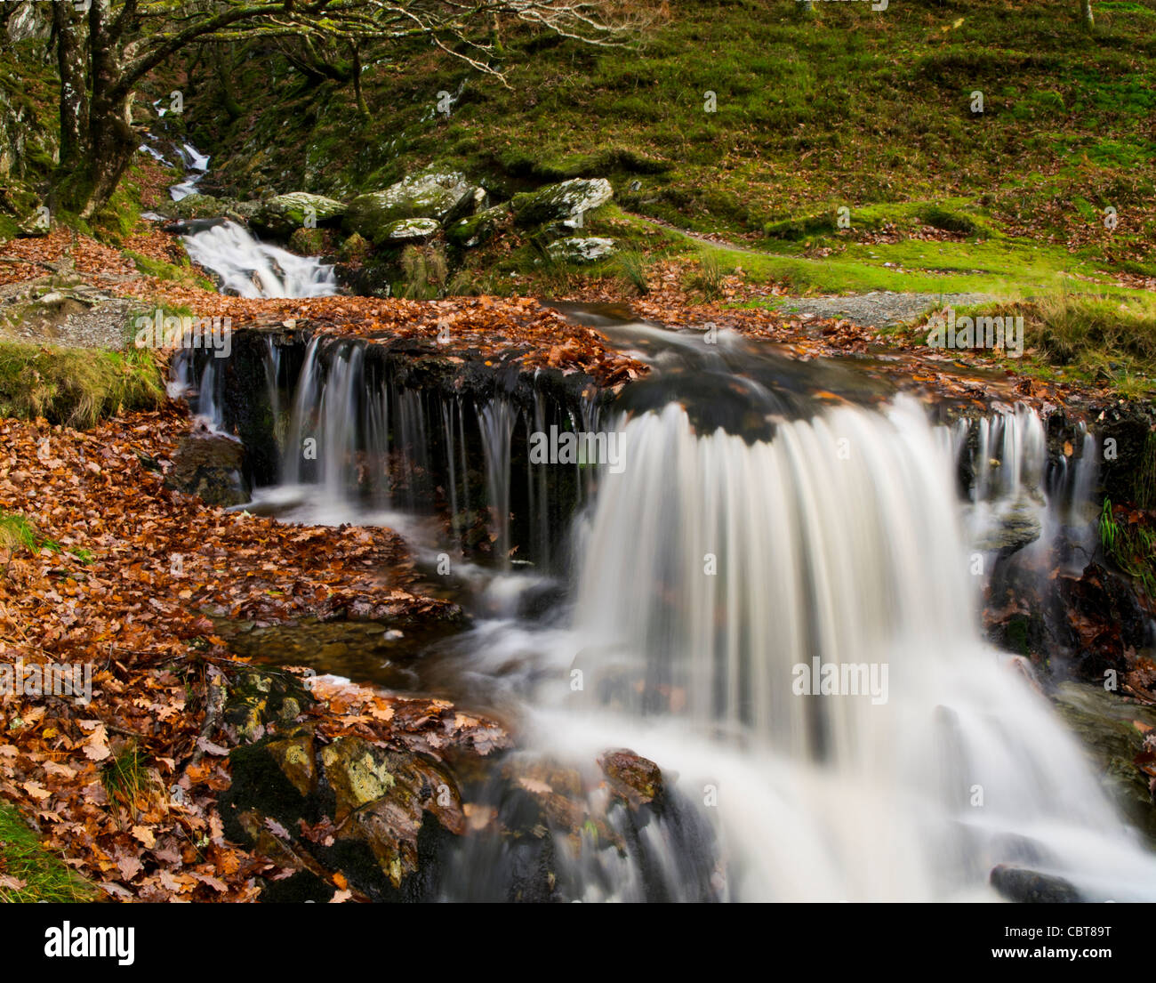 Welsh Mountain Stream Stock Photo - Alamy