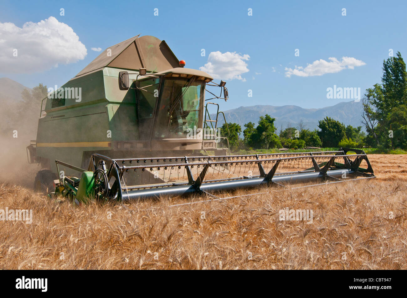 wheat harvesting machine in full work Stock Photo - Alamy