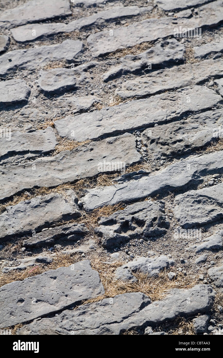 ancient Rock Path inside of forbidden city in beijing china Stock Photo ...