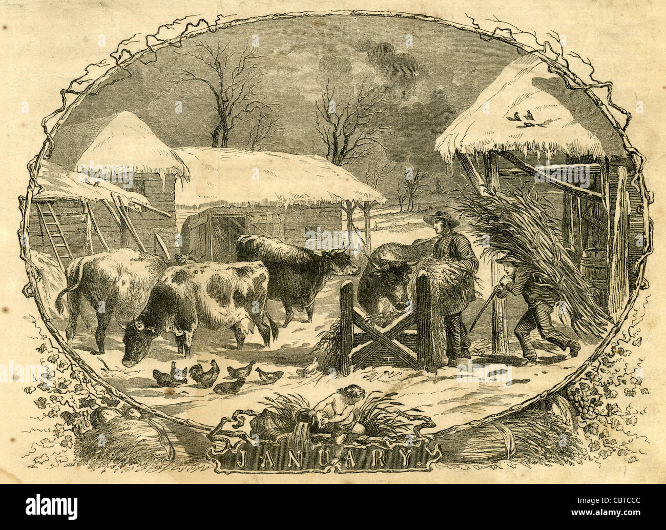 Corn farming 19th century hi-res stock photography and images - Alamy