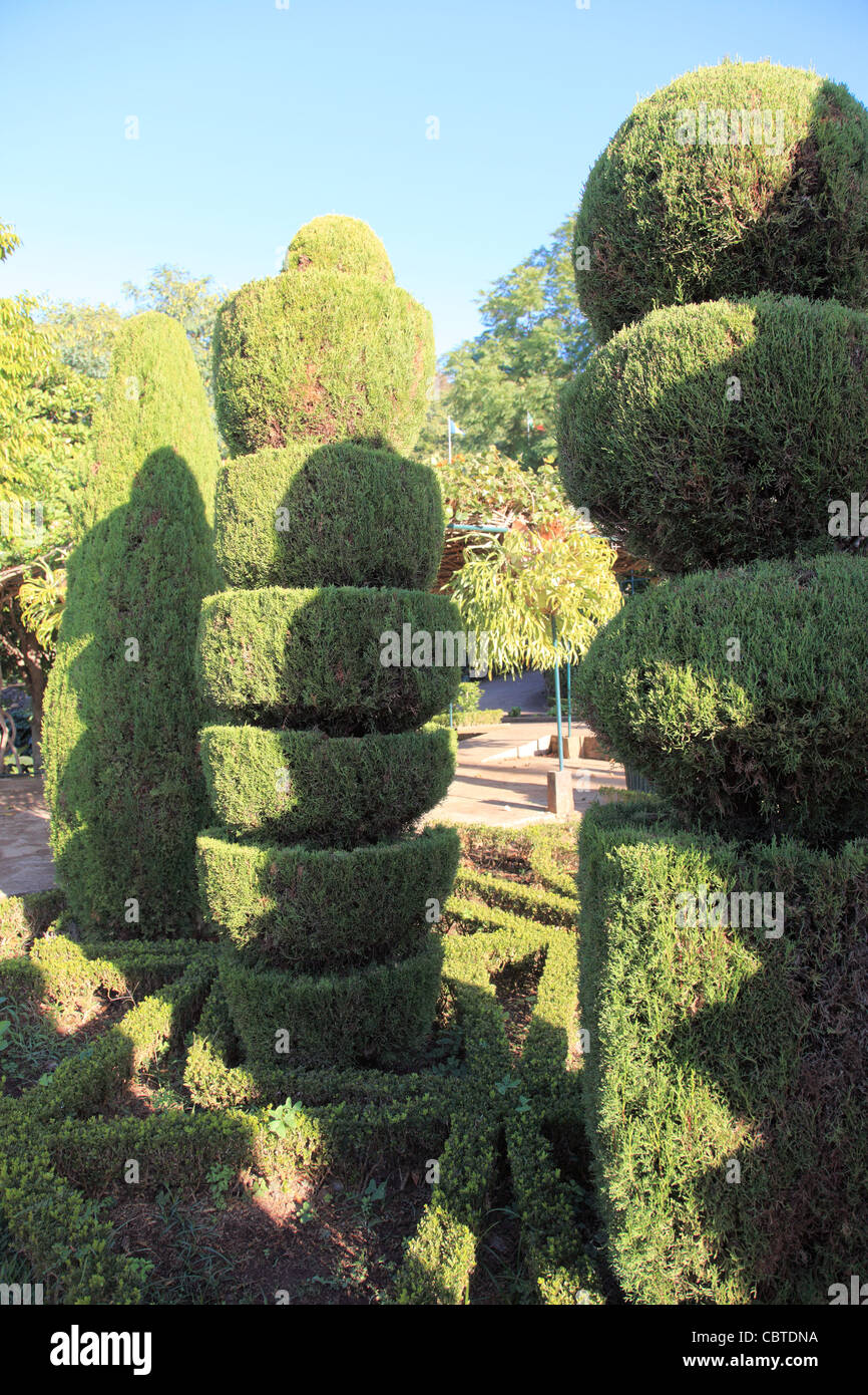 Topiary garden, Botanical Gardens, Funchal, Portugal, Europe. Photo by ...