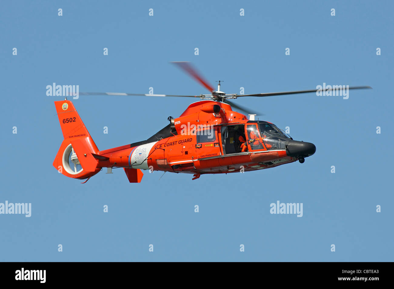 Coast Guard HH-65 Dolphin in flight Stock Photo - Alamy