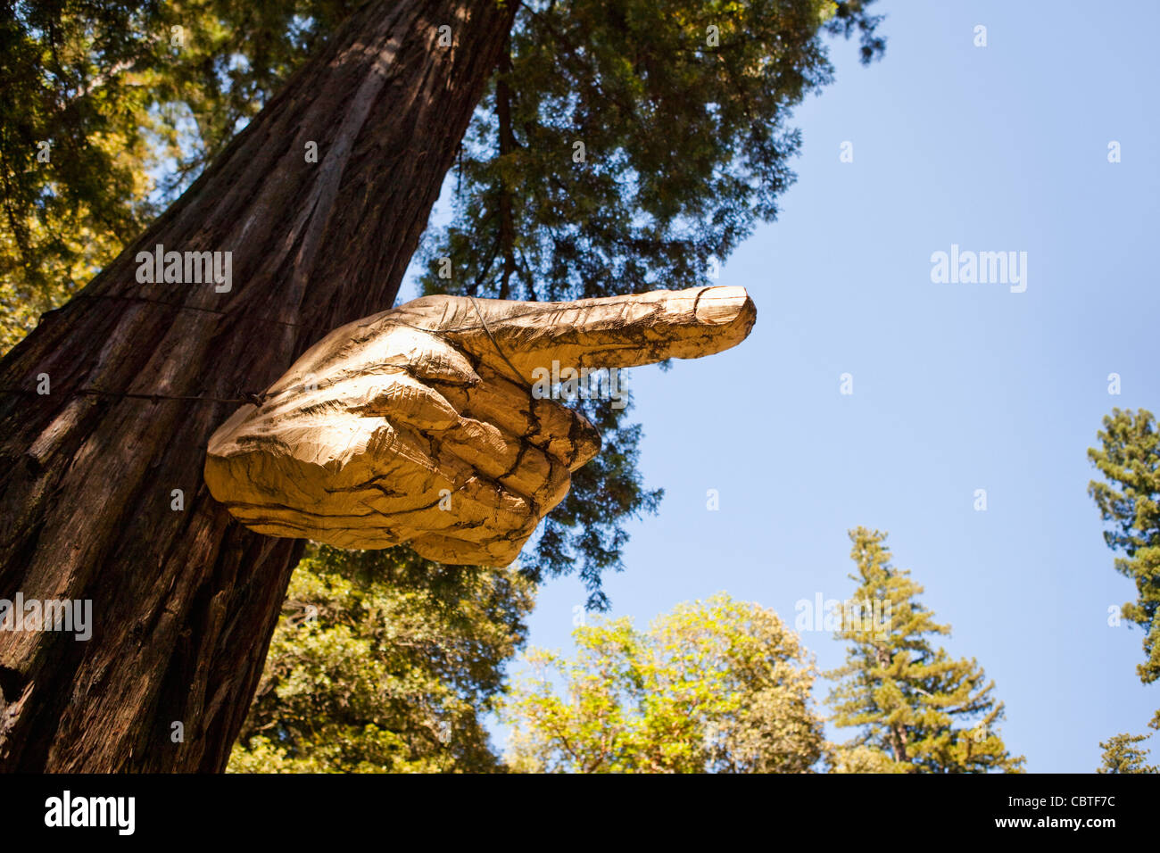 Tree branch carved into pointing hand Stock Photo - Alamy