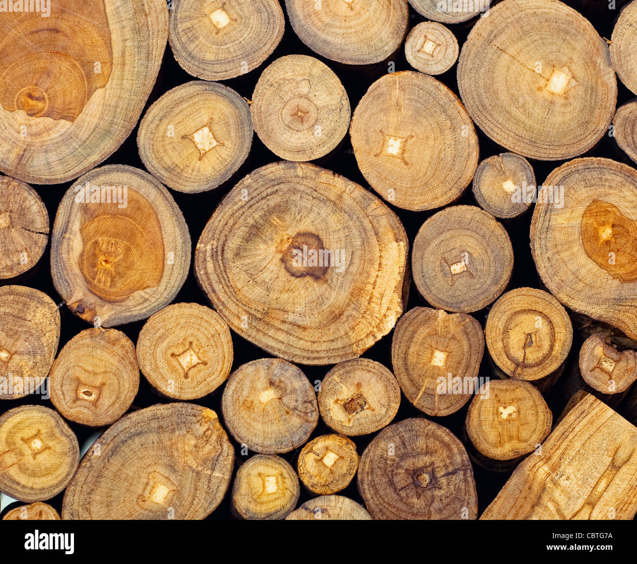 Natural Teak Wood Log