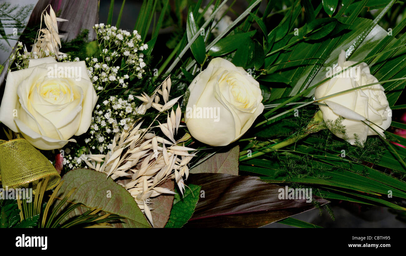Roses at the flower market in Poland Stock Photo - Alamy