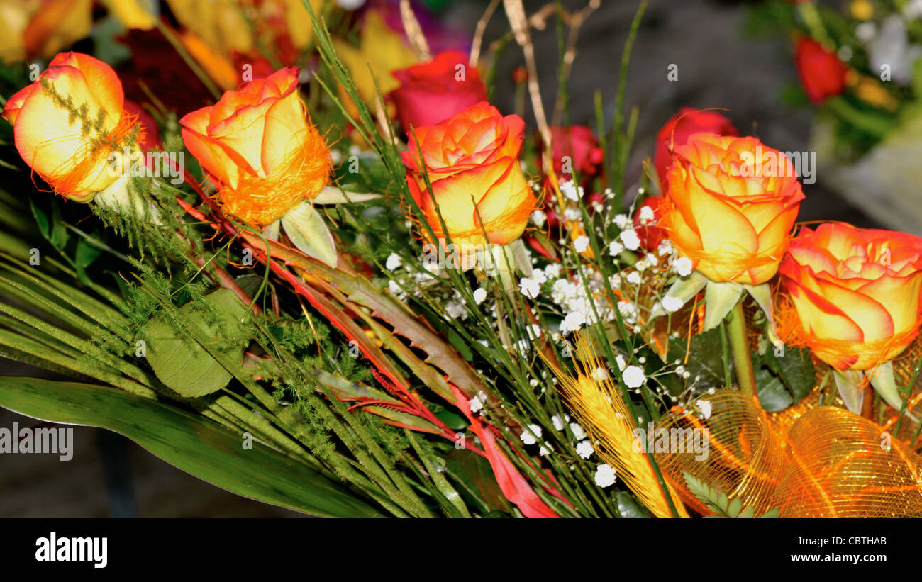 Roses at the flower market in Poland Stock Photo - Alamy