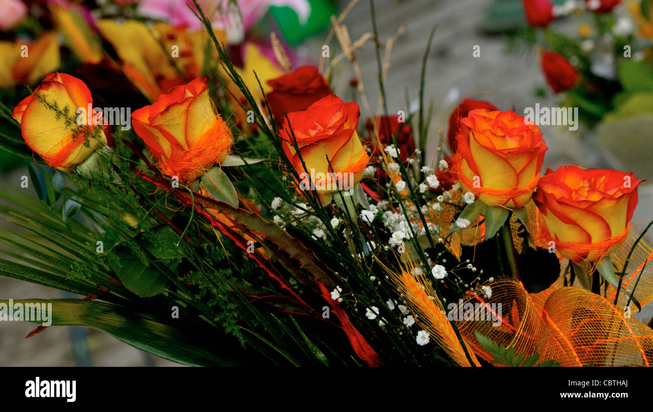 Roses at the flower market in Poland Stock Photo - Alamy