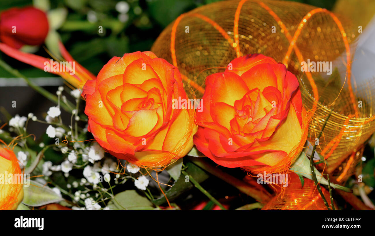 Roses at the flower market in Poland Stock Photo - Alamy