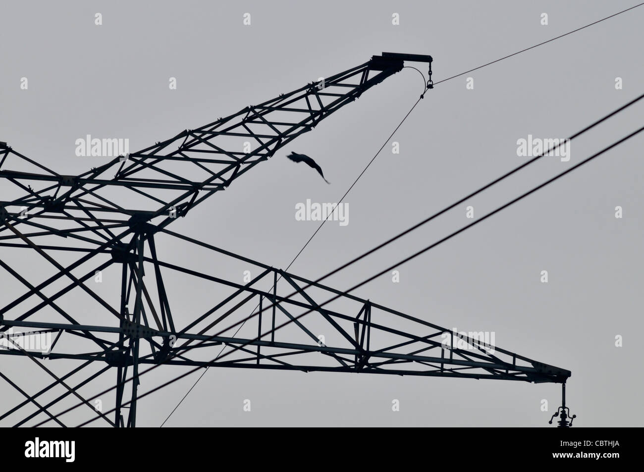 High tension - voltage power cables - over head power lines Stock Photo ...