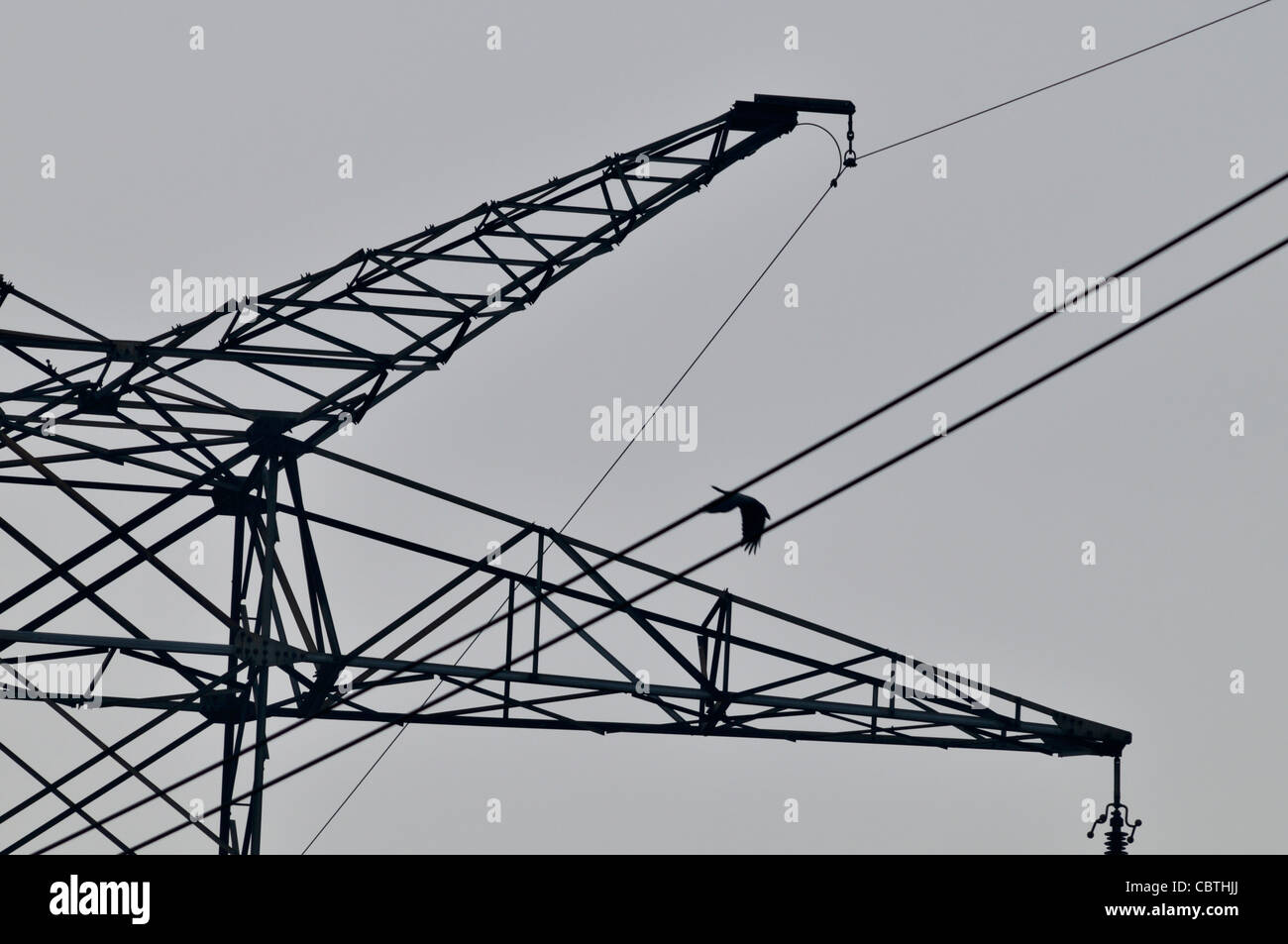 High tension - voltage power cables - over head power lines Stock Photo ...