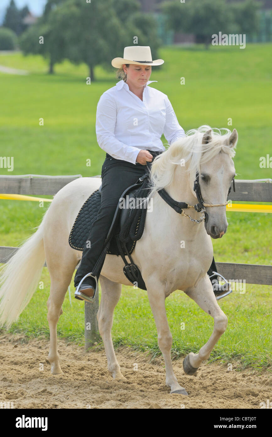 Palomino horse show hi-res stock photography and images - Alamy