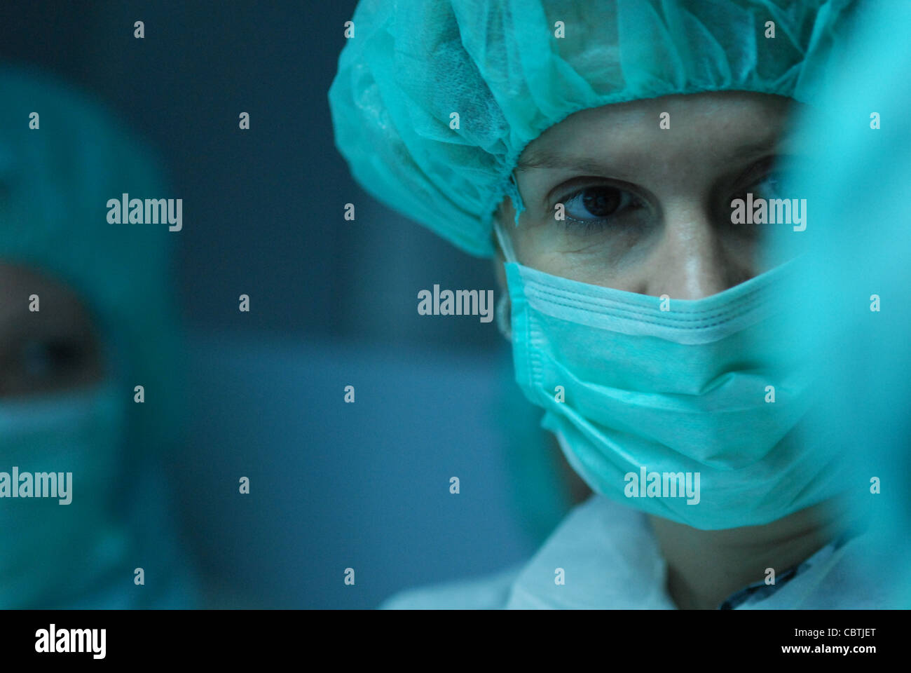 DNA tests on the Royal Mummy of Hatshepsut and her relatives Nefertari ...