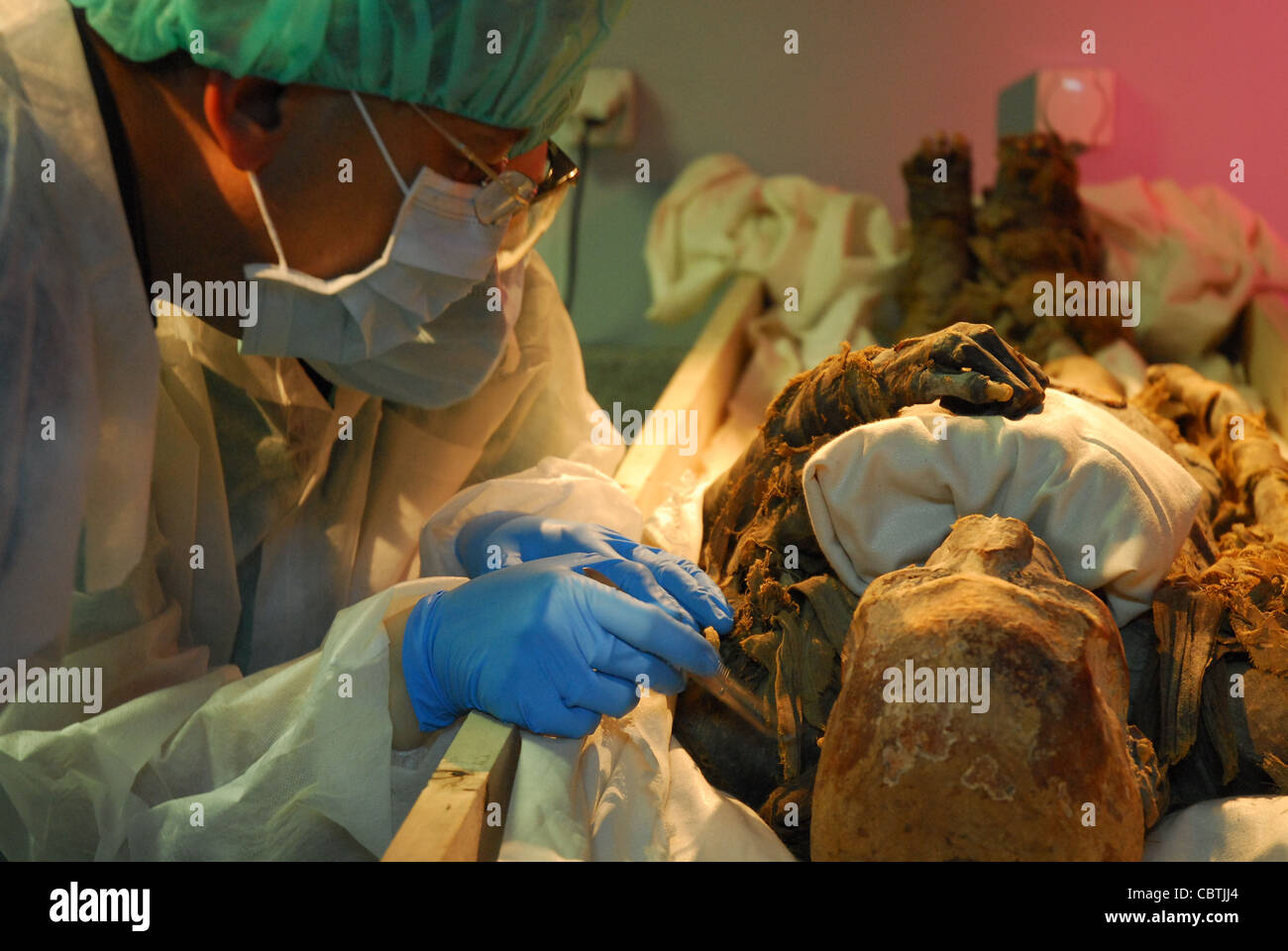 DNA tests on the Royal Mummy of Hatshepsut and her relatives Nefertari ...