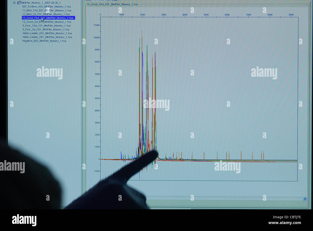 Pharaoh ramses ii mummy hi-res stock photography and images - Alamy