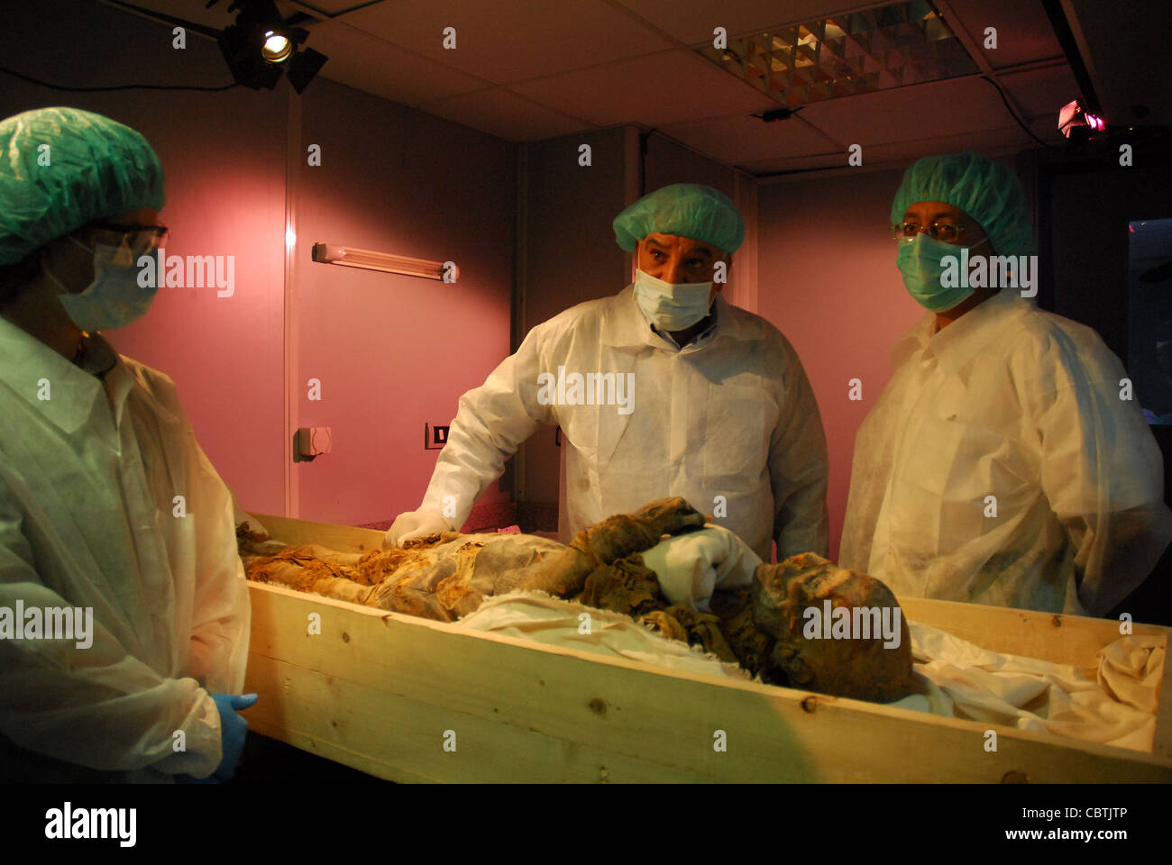 DNA tests on the Royal Mummy of Hatshepsut and her relatives Nefertari ...