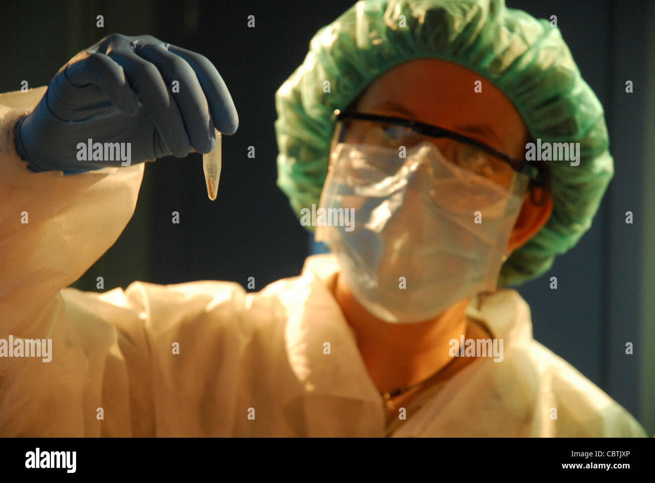 DNA tests on the Royal Mummy of Hatshepsut and her relatives Nefertari ...