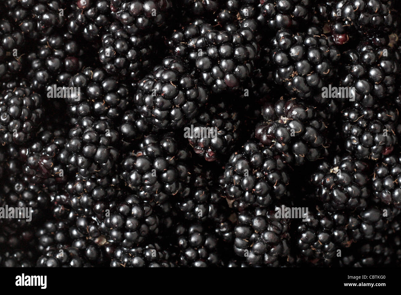 Zoomed in food hi-res stock photography and images - Alamy