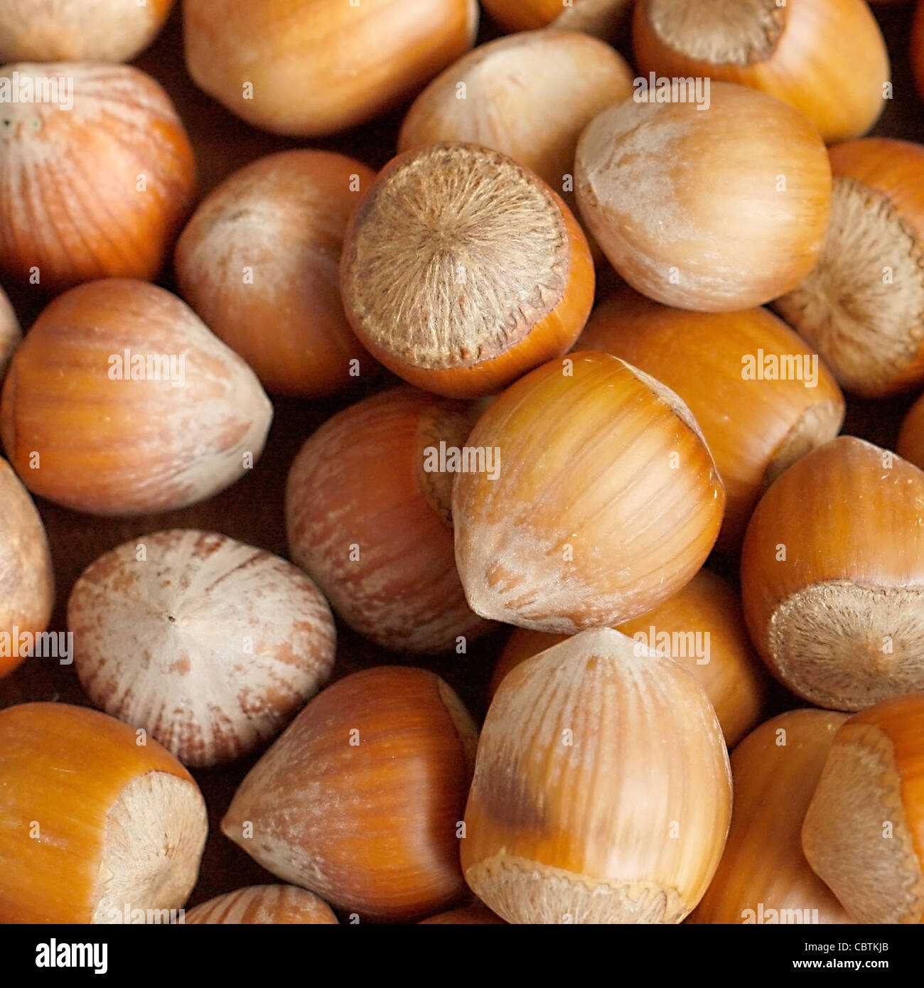 Hazelnuts hi-res stock photography and images - Alamy