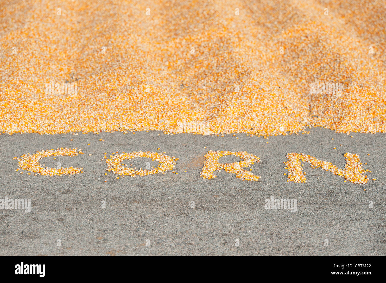 Sun Drying Maize / Corn kernels in India on a roadside with the word ...