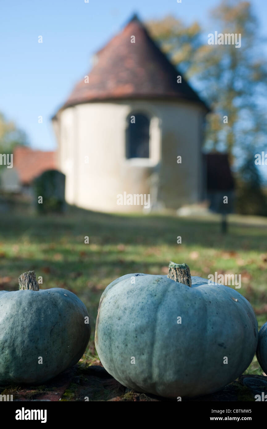 Rolet Squash High Resolution Stock Photography and Images - Alamy