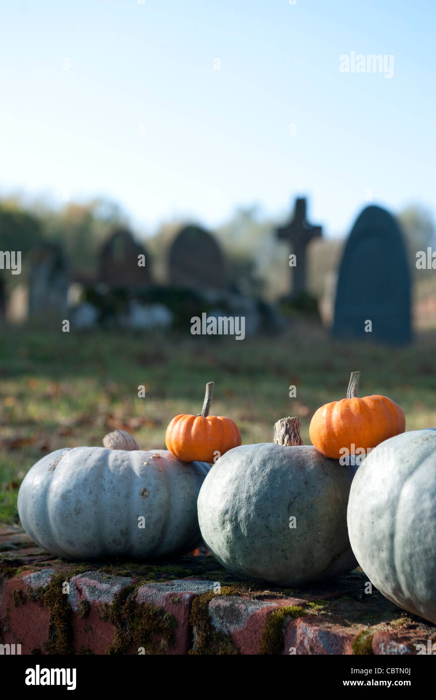 Rolet Squash High Resolution Stock Photography and Images - Alamy