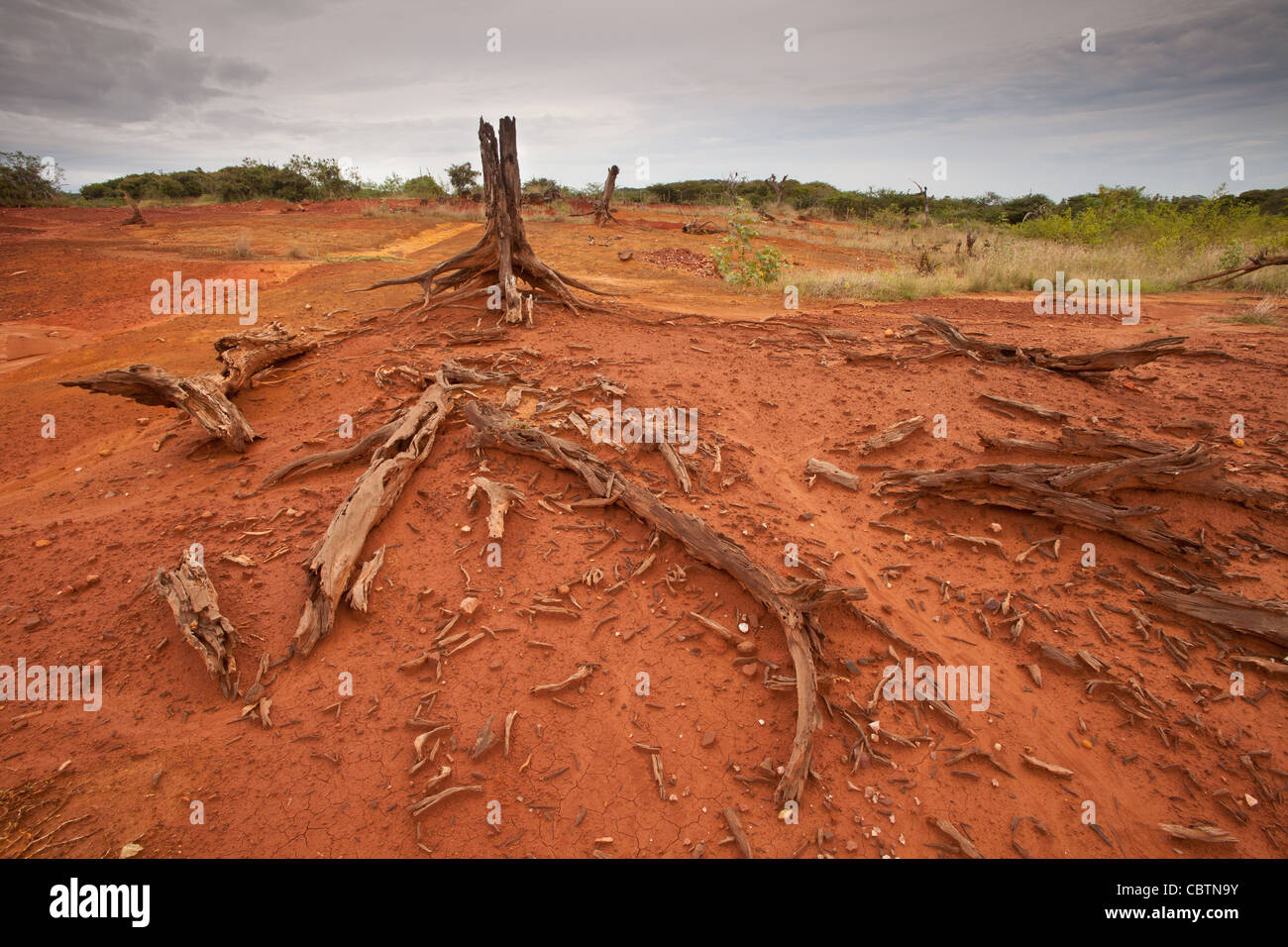 Eroded soil in Sarigua national park (desert) in Herrera province ...