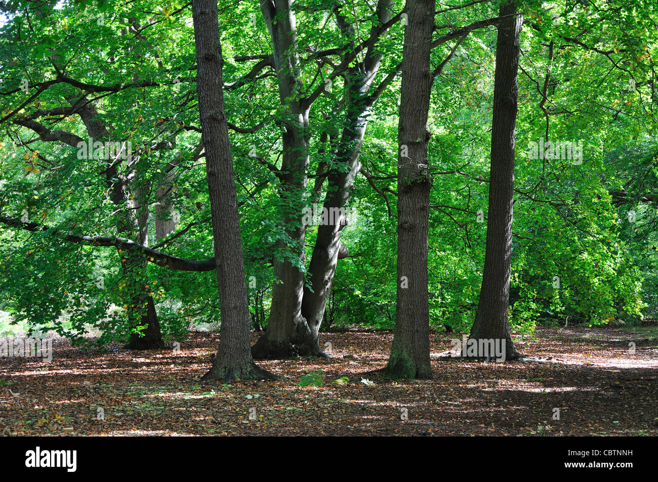 Burnham slough uk hi-res stock photography and images - Alamy
