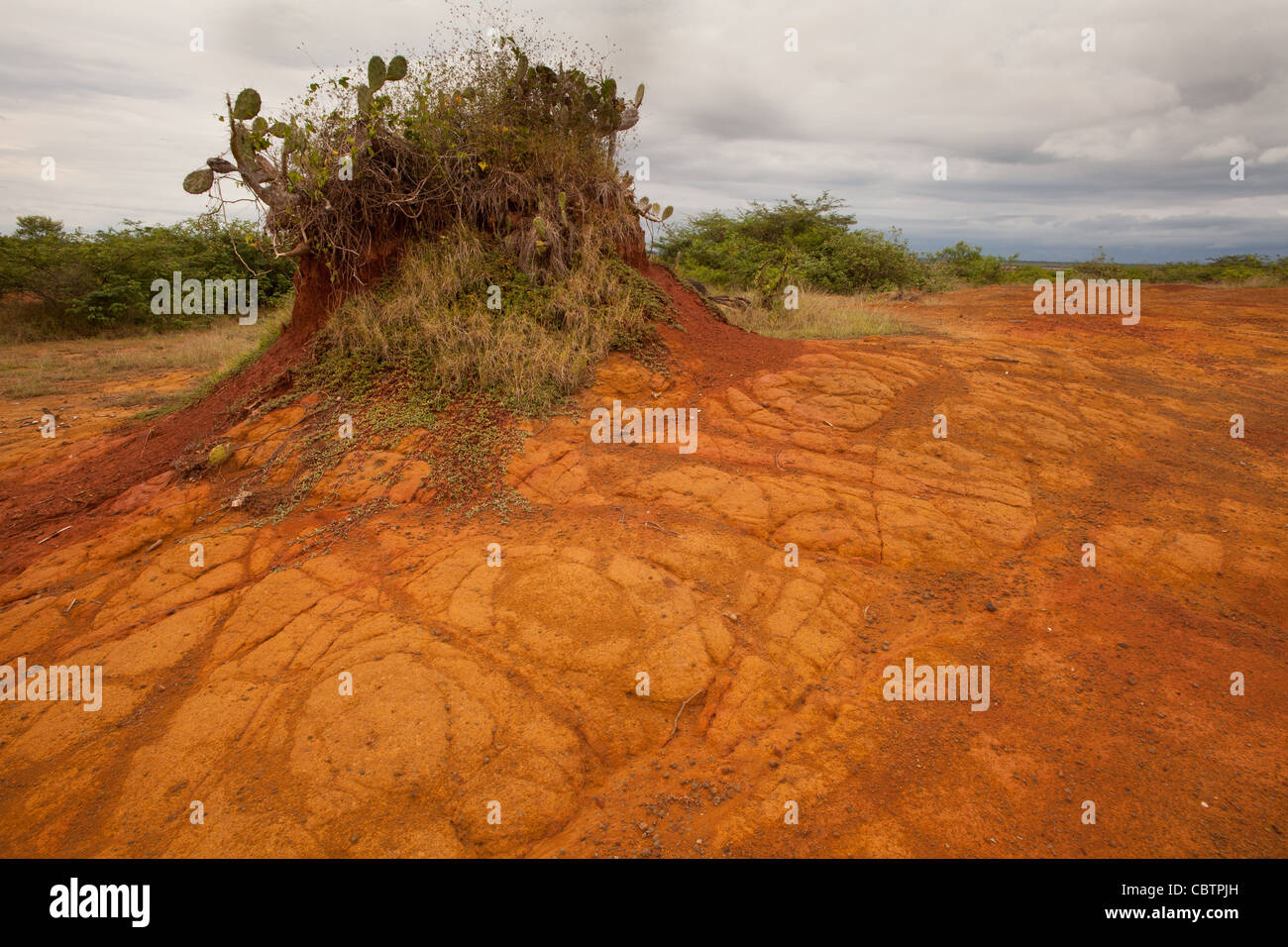 Eroded soil in Sarigua national park (desert) in Herrera province ...